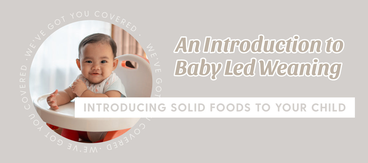 An Introduction to Baby Led Weaning – Spewy